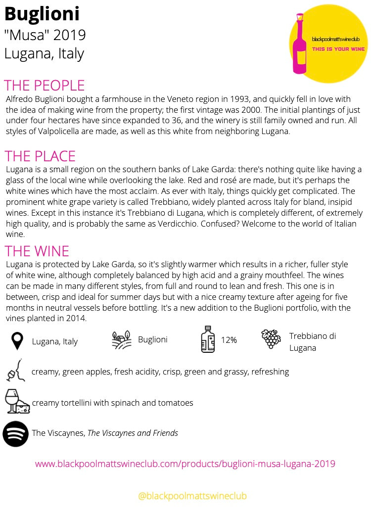 Buglioni "Musa" Trebbiano di Lugana 2019 – blackpoolmatt's wine club